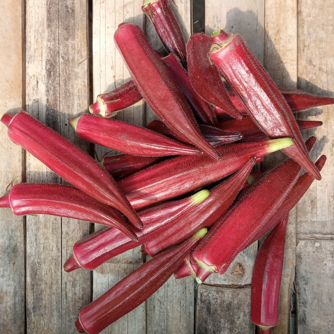 Belanja Sayur Organik | YUM Organic Farm