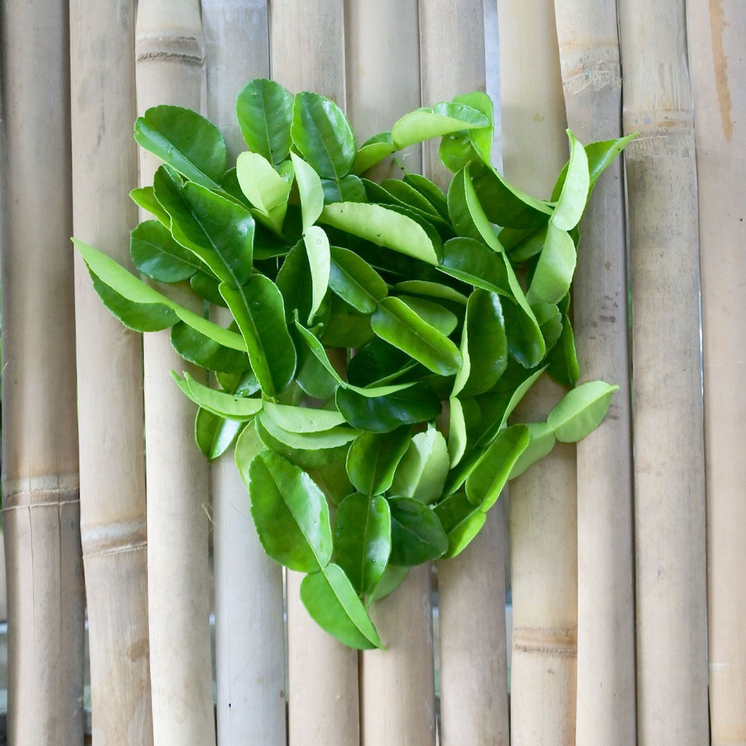 YUM Organic Farm | Pertanian Sayur Organik Cipanas