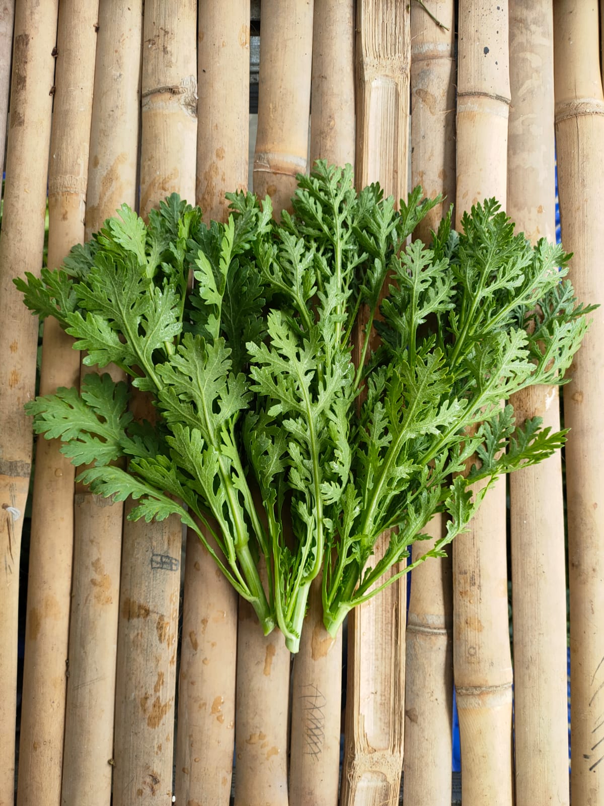 Belanja Sayur Organik | YUM Organic Farm